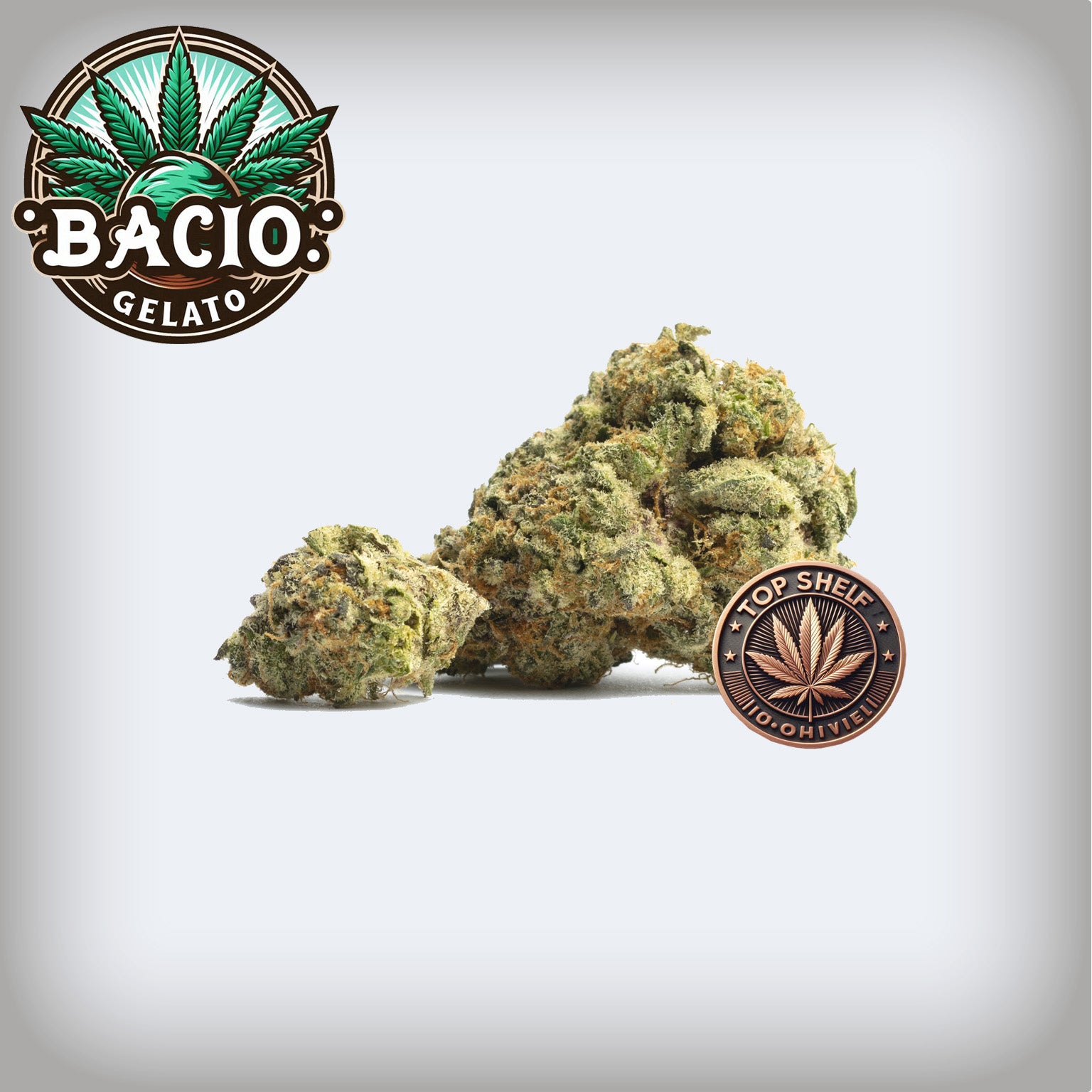 Bacio Gelato THCa Premium Flower | Creamy Dessert Terpenes | Top-Shelf ...