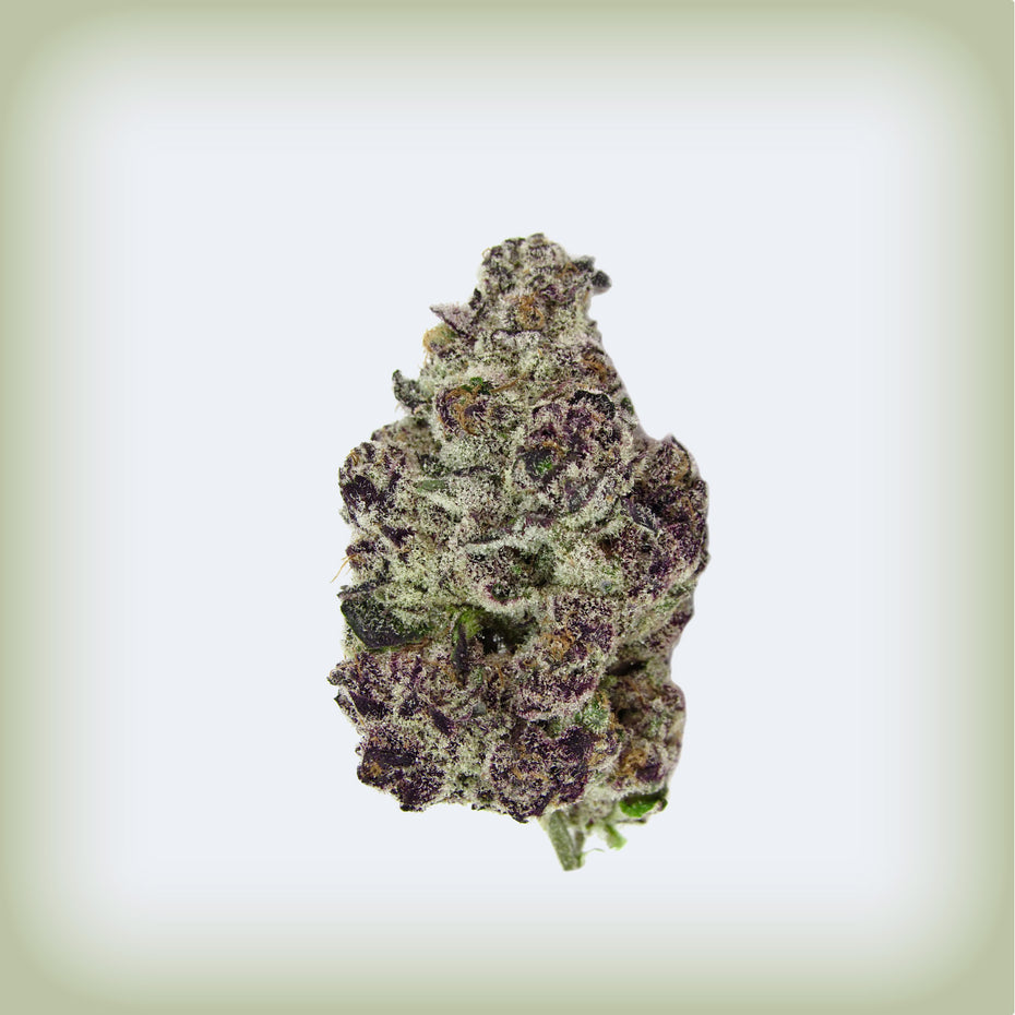 Sour Diesel THCa – Island Roots