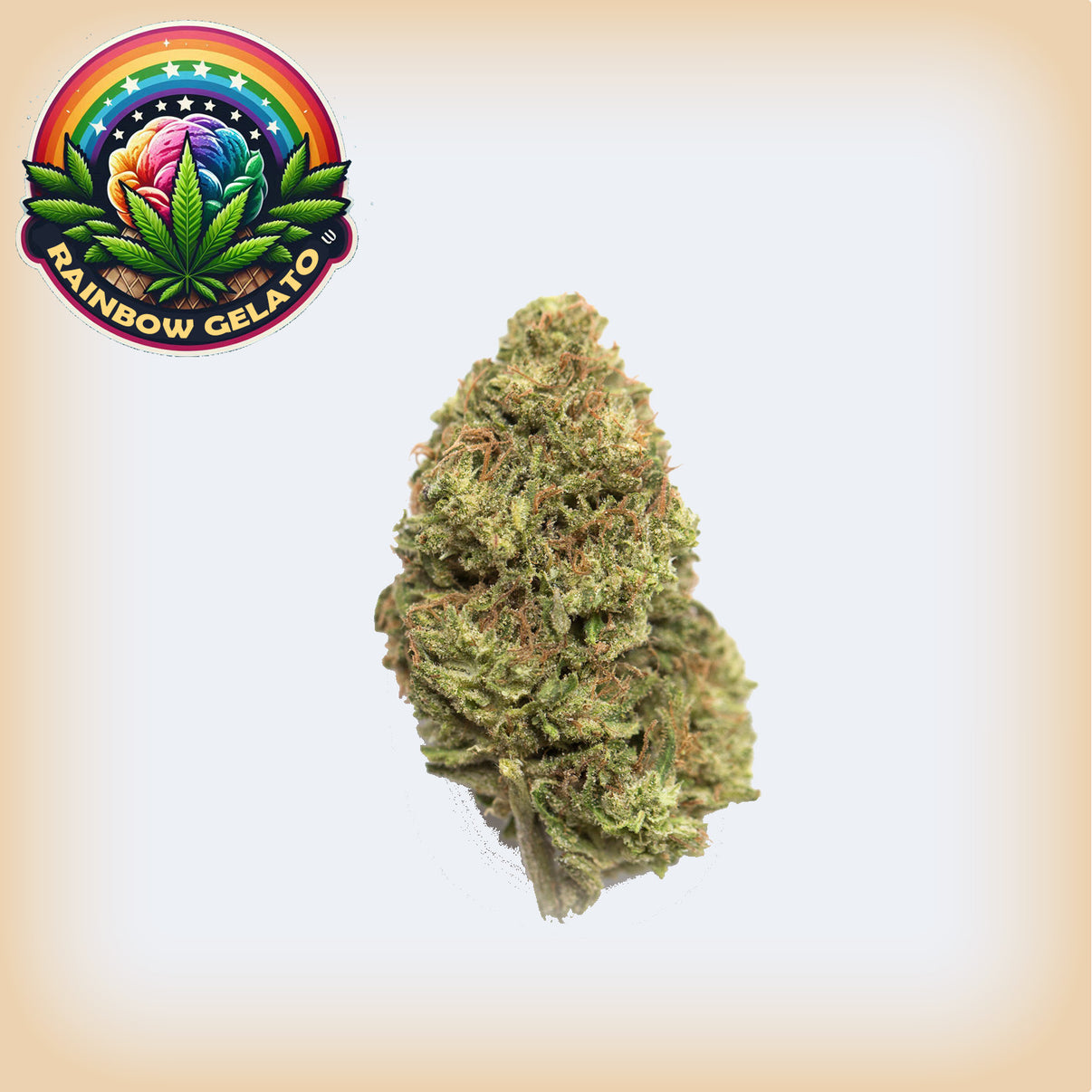 Skip to product information