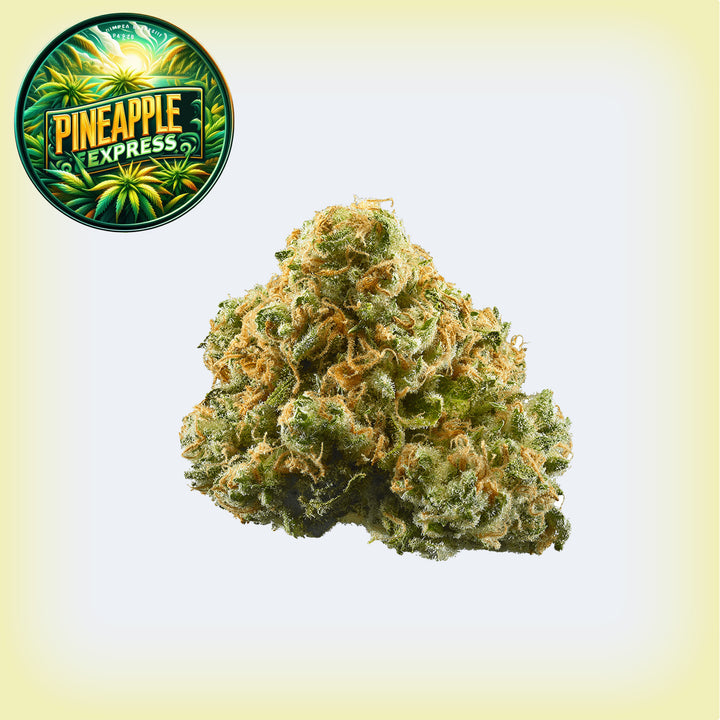 Shop All THCa Flower