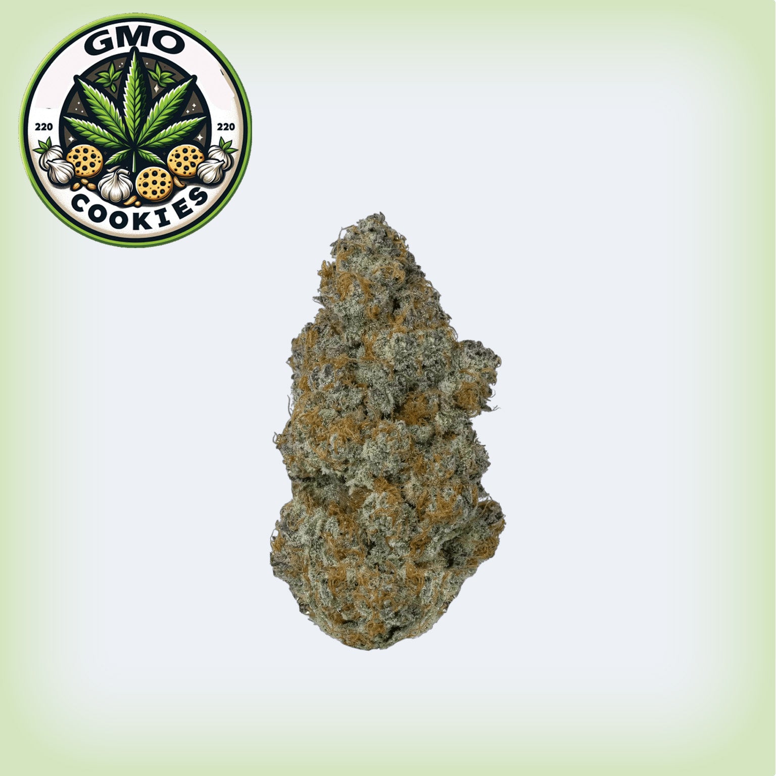 🧄 GMO Garlic Cookies THCa – Island Roots