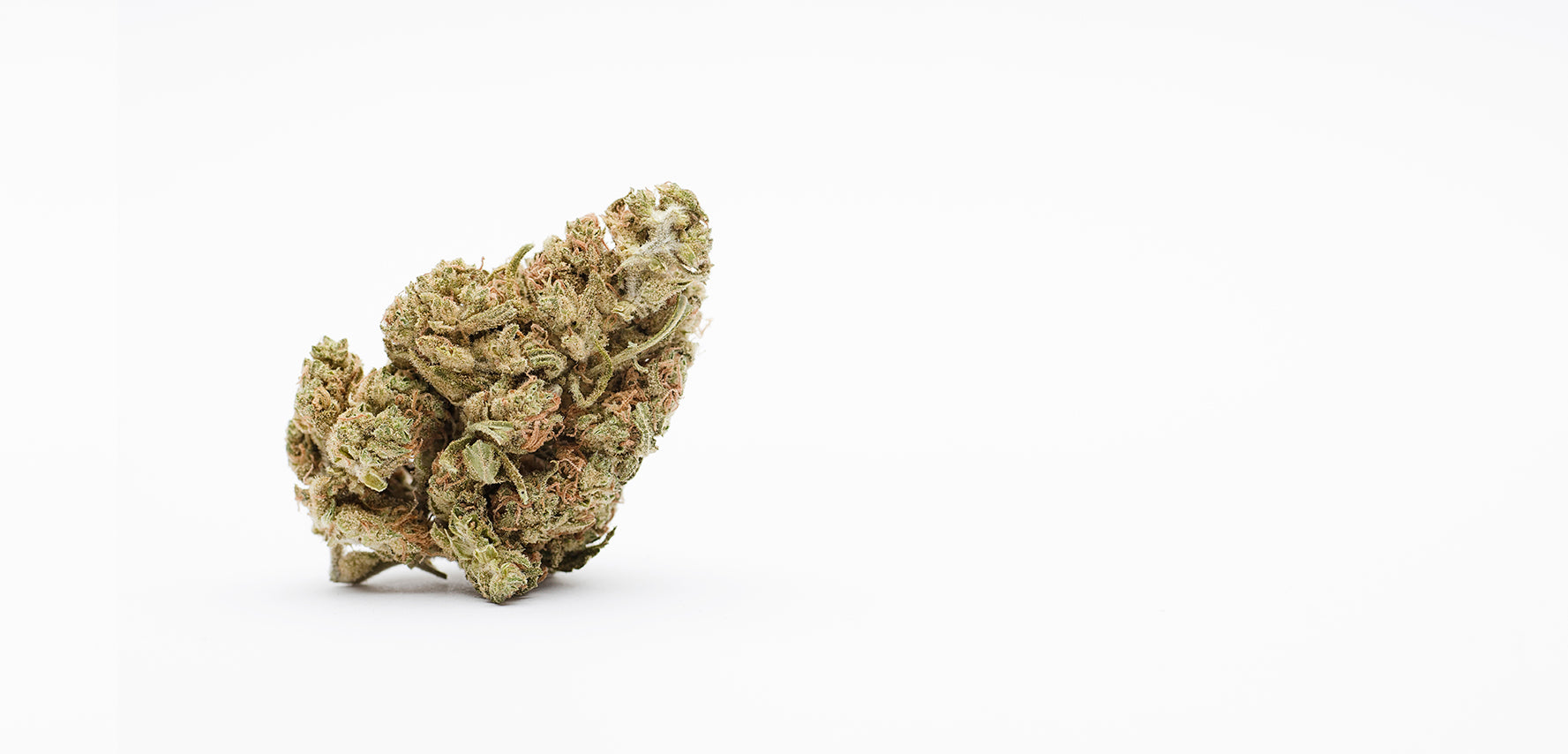 A Higher Level of Quality