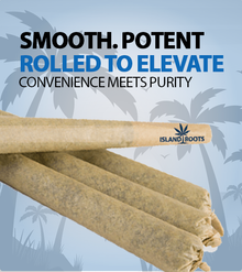 Buy THCa Flower, Pre-Rolls, Seeds Online | Island Roots
